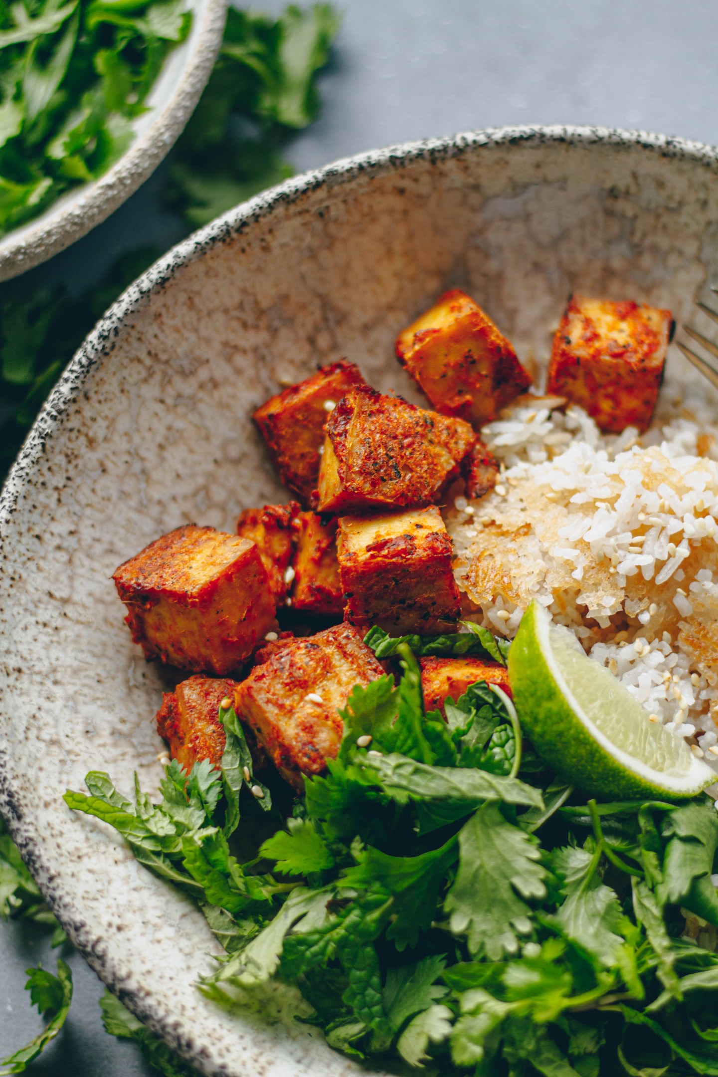 Crispy Coconut Rice with Curried Tofu – healthienut